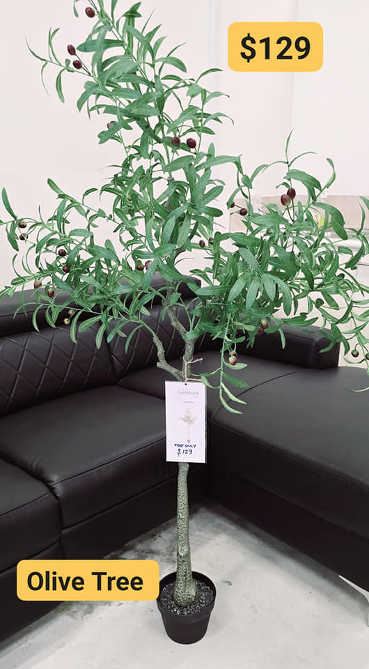 Elegant Artificial Olive Tree | Perth Furniture and Fun